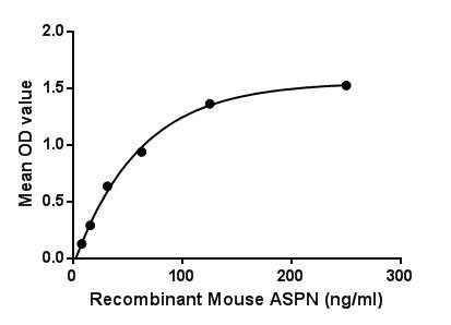 APC321Mu01 | 无孢蛋白(ASPN)活性蛋白 | Mus musculus (Mouse，小鼠) USCN(武汉优尔生商贸有限公司)